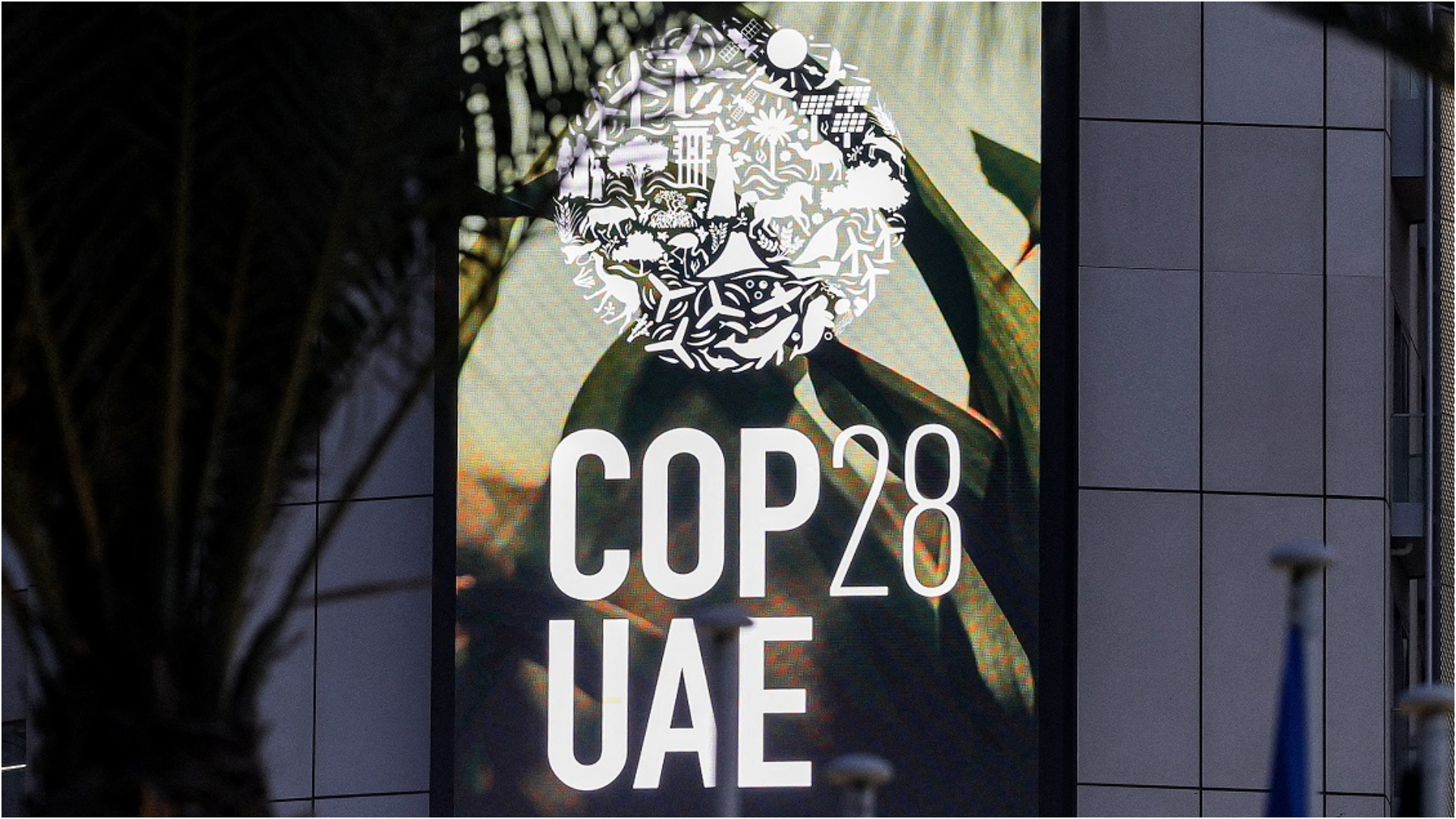 外交部：COP28有重要里程碑意義 釋放多邊主義應對氣候變化強大信號