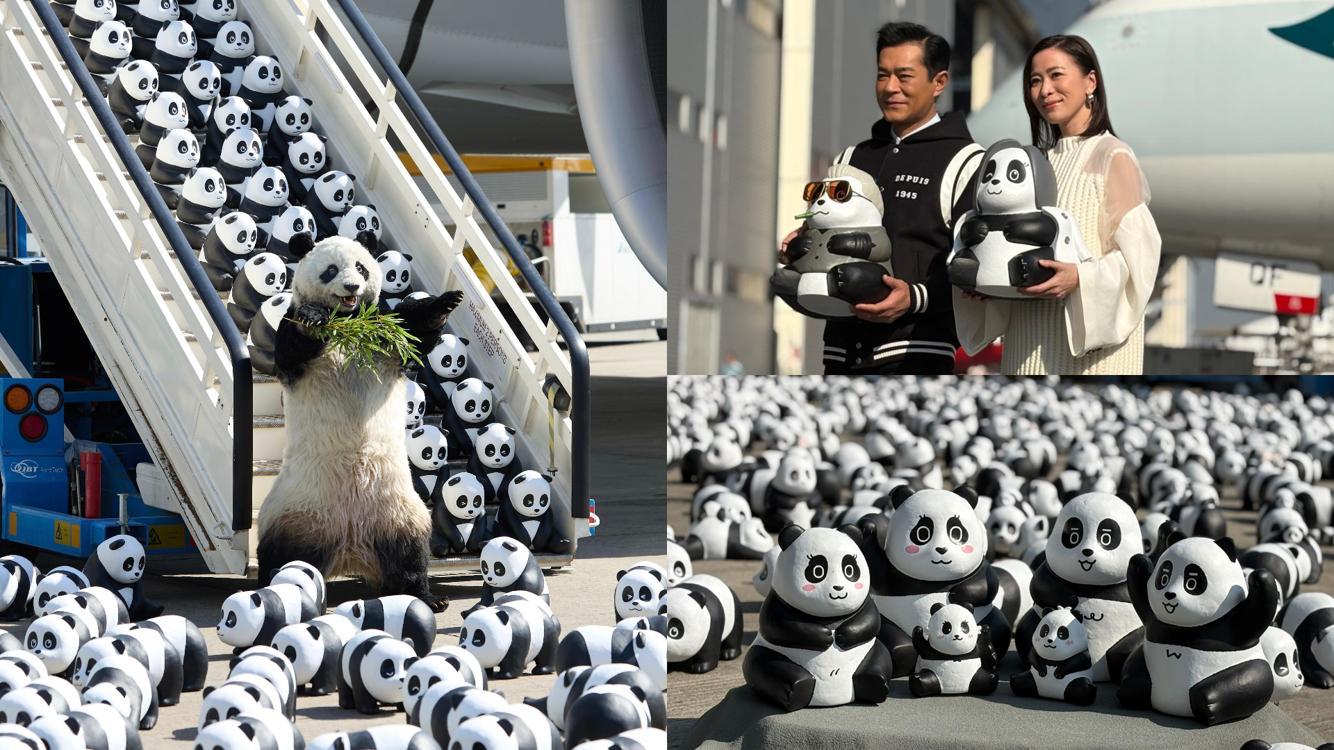 直擊機場2,500隻熊貓雕塑！12月7日起《PANDA GO！香港遊》巡迴香港4地點免費展出